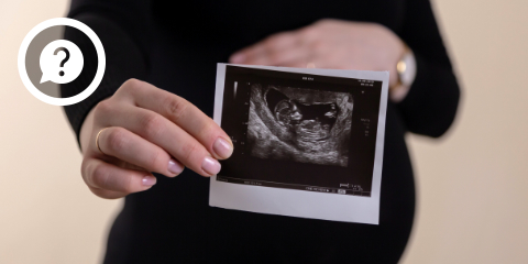Leopold-Handgriffe - DocCheck Flexikon