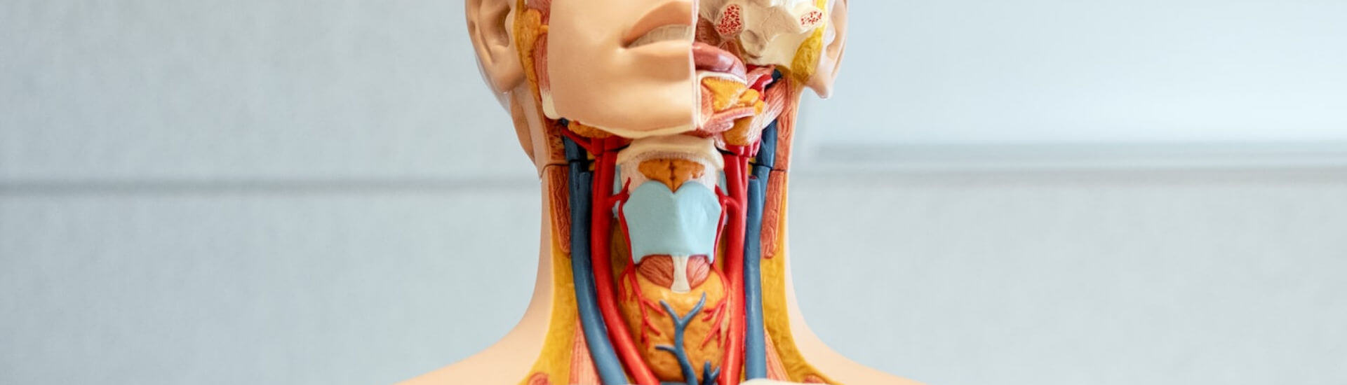 Ösophagektomie: So vermeidet ihr Sarkopenie - DocCheck