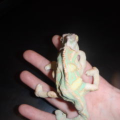 Rachitis - DocCheck Flexikon