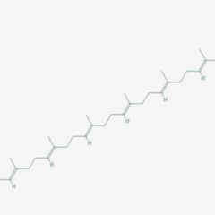 Trisomie 8 - DocCheck Flexikon