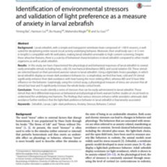Harrison-Furche - DocCheck Flexikon