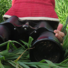 Wundinfektion - DocCheck Flexikon