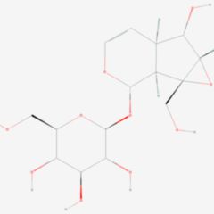 CAT - DocCheck Flexikon