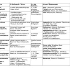 Sulcus intertubercularis humeri - DocCheck Flexikon