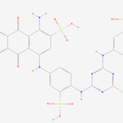 Blue Bloater - DocCheck Flexikon