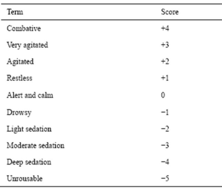 Richmond Agitation Sedation Scale - DocCheck