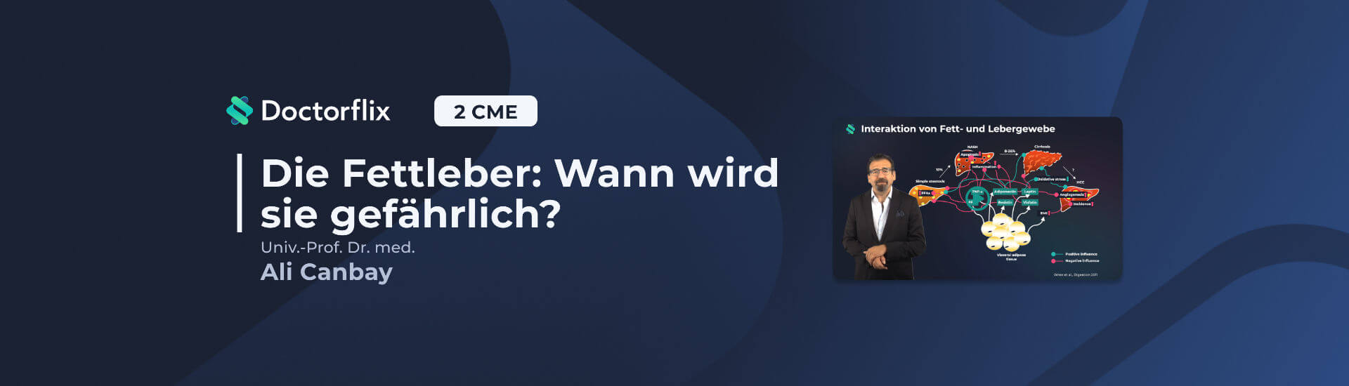 Die Fettleber: Wann wird sie gefährlich? - DocCheck