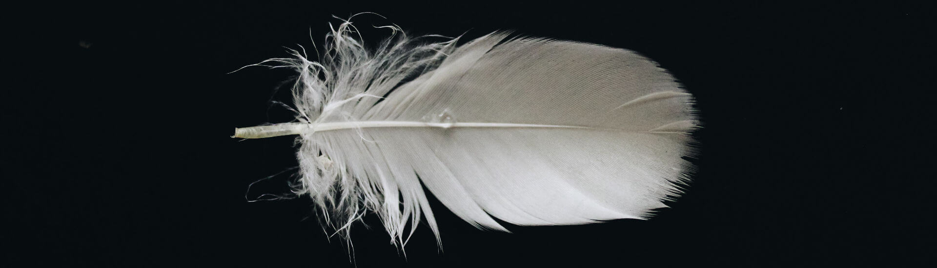 Single-Port-OP: Mehr als nur Ästhetik? - DocCheck