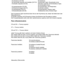 Fasciculus medialis plexus brachialis - DocCheck Flexikon