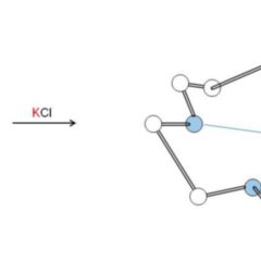 Chelat - DocCheck Flexikon