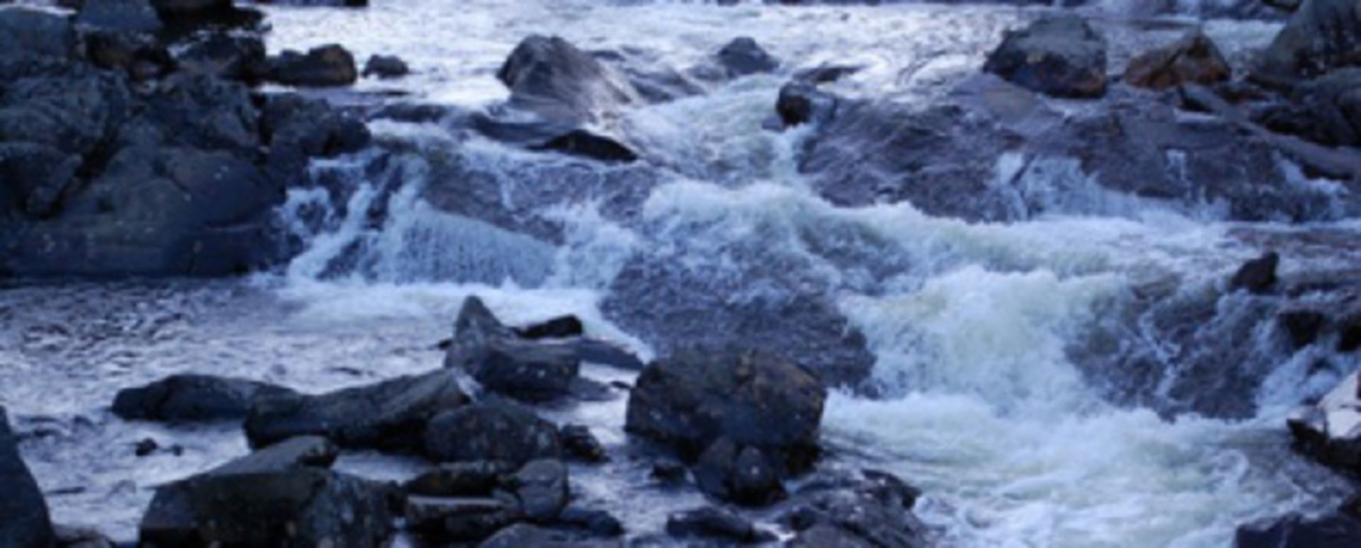 Panta rhei - DocCheck