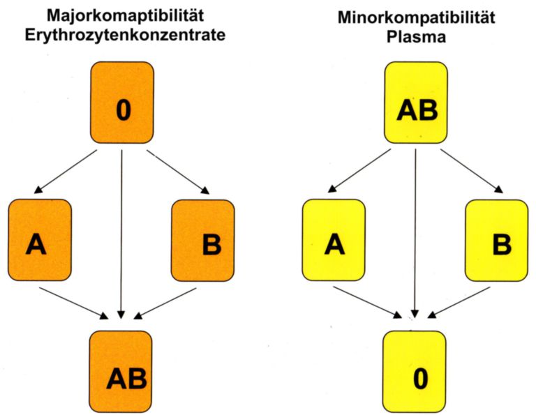 ABO-compatibility - DocCheck