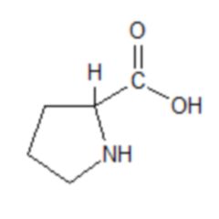 Prolin - DocCheck Flexikon