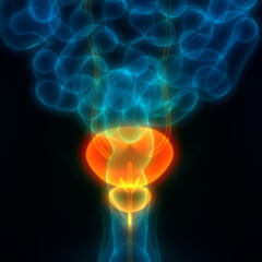 Neoblase - DocCheck Flexikon