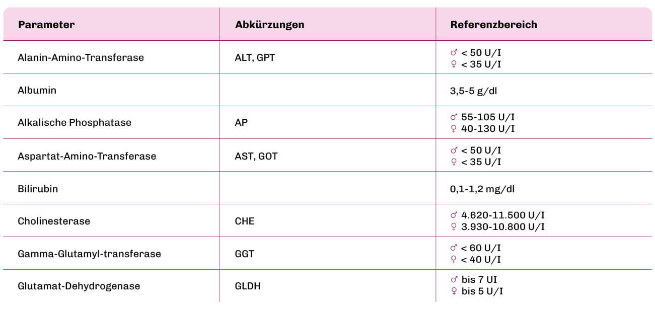 Erhöhte Leberwerte – Was bedeuten sie? - DocCheck