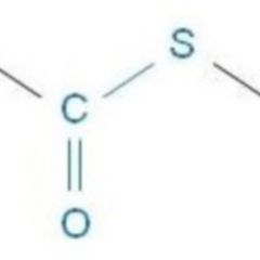 Thioester - DocCheck Flexikon