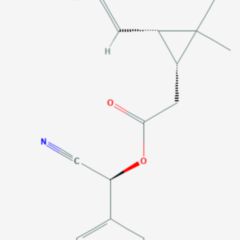 ACR - DocCheck Flexikon