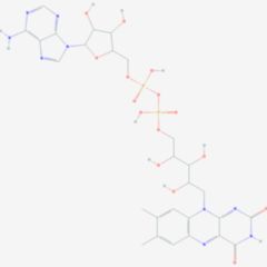 Adenin - DocCheck Flexikon