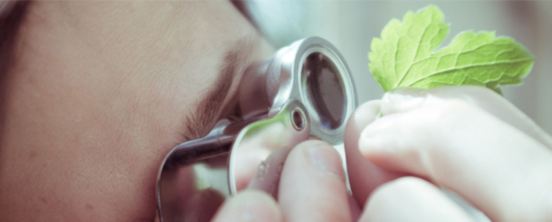 CRISPR-Cas-System unter der Lupe - DocCheck