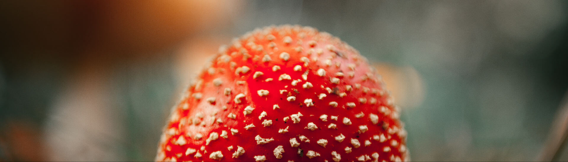 Acne inversa: So erkennt ihr sie - DocCheck