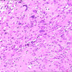 Polymorph - DocCheck Flexikon