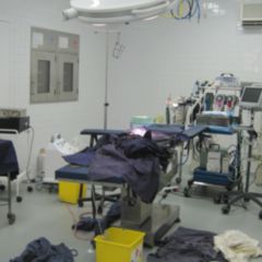 Crossing-over - DocCheck Flexikon