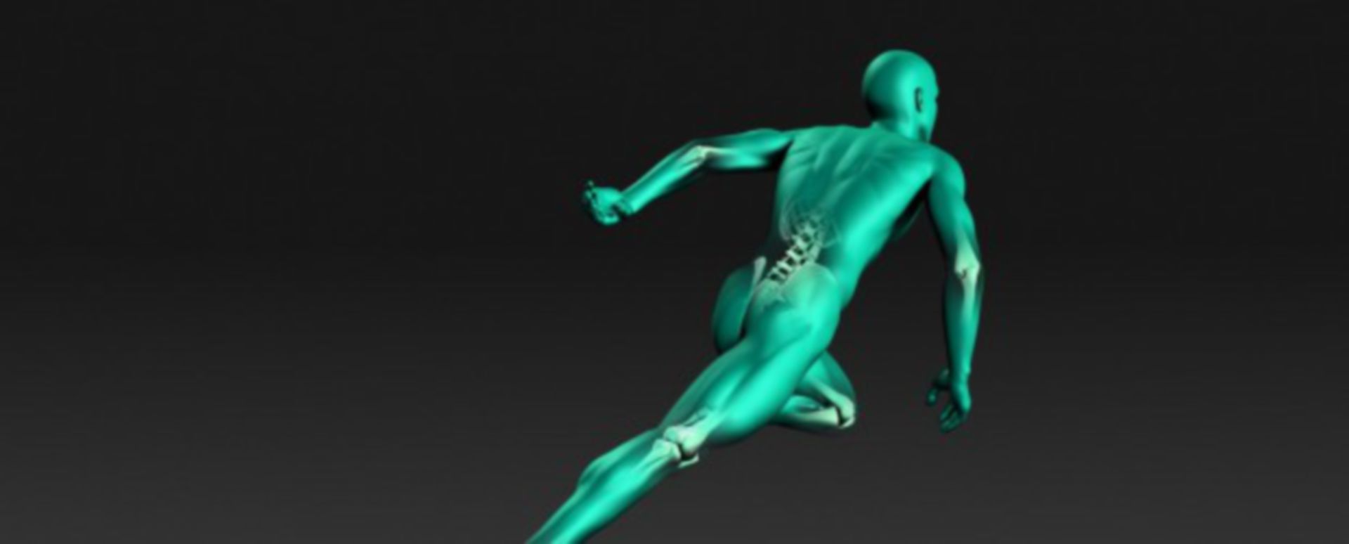 Biomechanical measuring systems in orthopaedics - DocCheck
