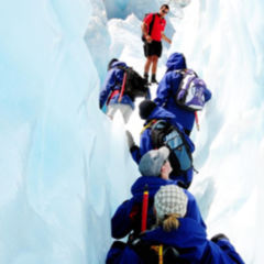 Aktin - DocCheck Flexikon