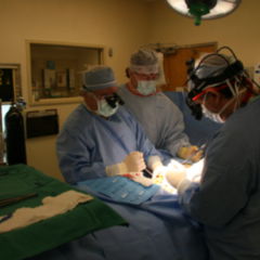 California Rocket Fuel - DocCheck Flexikon