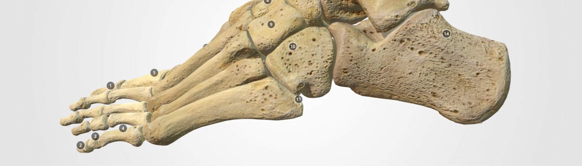 Ein Fußtritt für Heilpraktiker - DocCheck