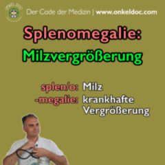 Splenomegalie - DocCheck Flexikon