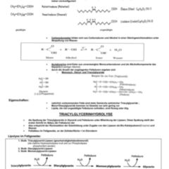 Ketogenese - DocCheck Flexikon