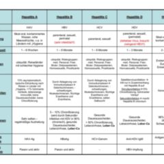 Hepatitis - DocCheck Flexikon