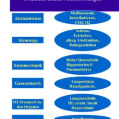 Akuter Gichtanfall - DocCheck Flexikon