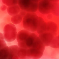 Blutplasma - DocCheck Flexikon