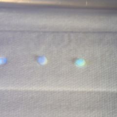 Wundinfektion - DocCheck Flexikon