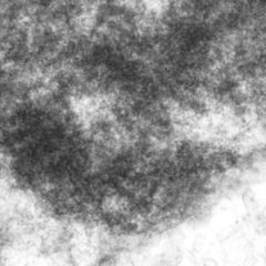 Dentogen - DocCheck Flexikon