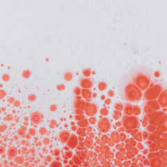 Blutserum - DocCheck Flexikon