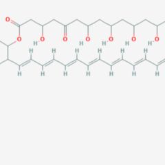 Propan - DocCheck Flexikon