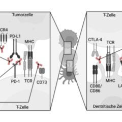 Serplulimab - DocCheck Flexikon