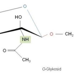 Glykosid - DocCheck Flexikon