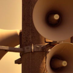 Call-Exner-Körperchen - DocCheck Flexikon