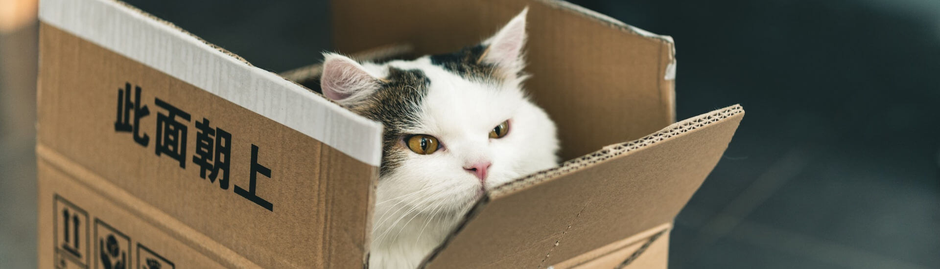 Chronic Sinusitis: Thinking Outside The Box - DocCheck