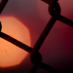 Simon-Spitzenherd - DocCheck Flexikon