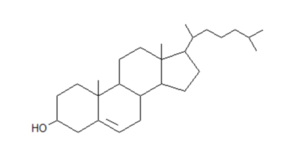 Cholesterin - DocCheck Flexikon