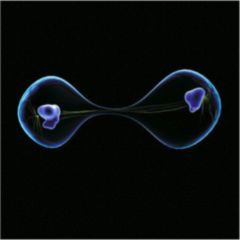 Kernmembran - DocCheck Flexikon