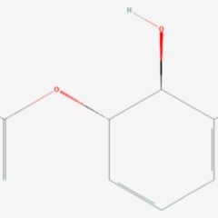 Isochor - DocCheck Flexikon