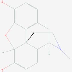 Thebain - DocCheck Flexikon
