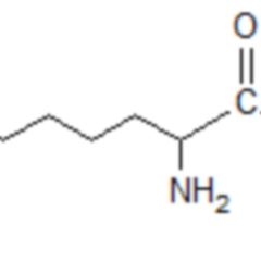 Lysin - DocCheck Flexikon