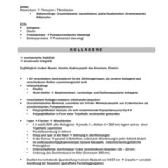 Bindegewebe - DocCheck Flexikon